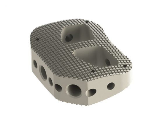 ADITUS LUMBAR ALIF CAGE – ADITUS